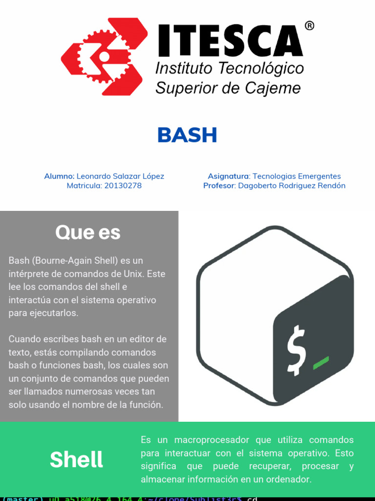 Presentacion Bash | PDF | Archivo de computadora | Ingeniería Informática