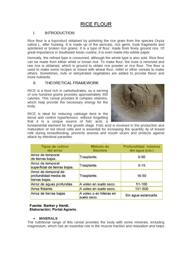 Rice Flour | PDF | Flour | Rice