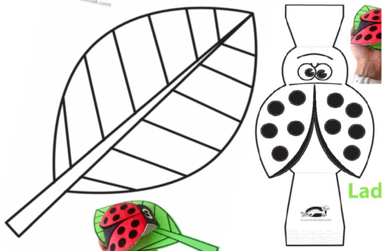Ladybug | PDF