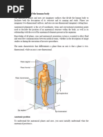 Topographic Anatomy Overview | PDF | Anatomical Terms Of Motion ...
