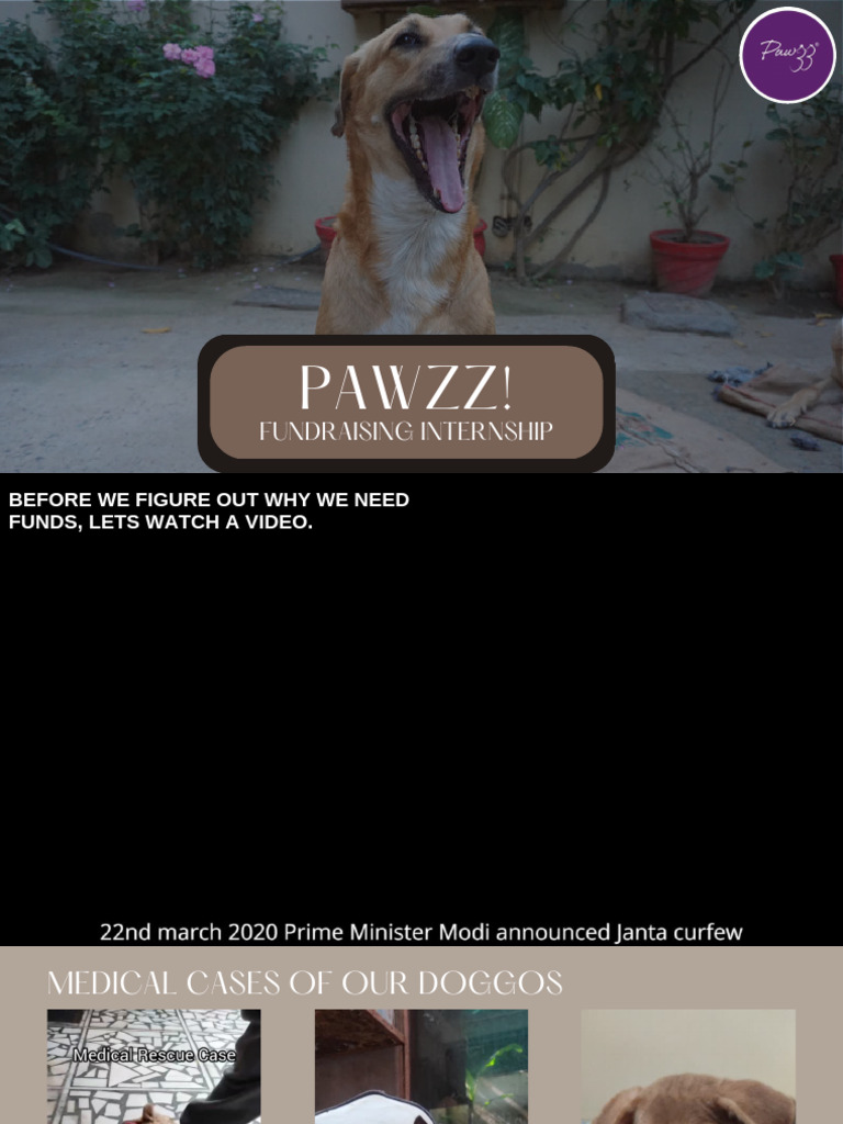 Copy of Fundraising For Pawzz | PDF | Fundraising | Neutering