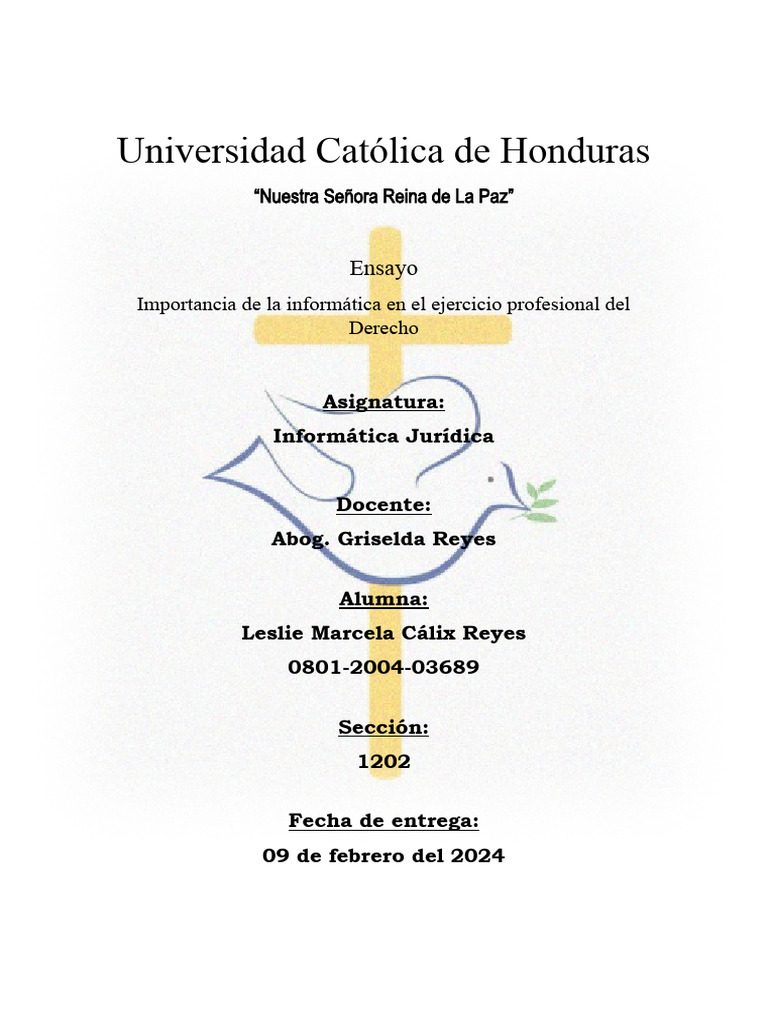 Importancia de La Informática en El Ejercicio Profesional Del Derecho ...