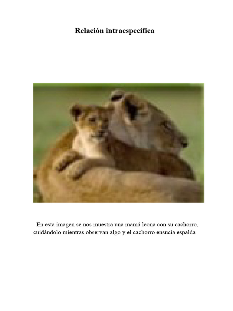 Imagen 1 Intraespecífica | PDF