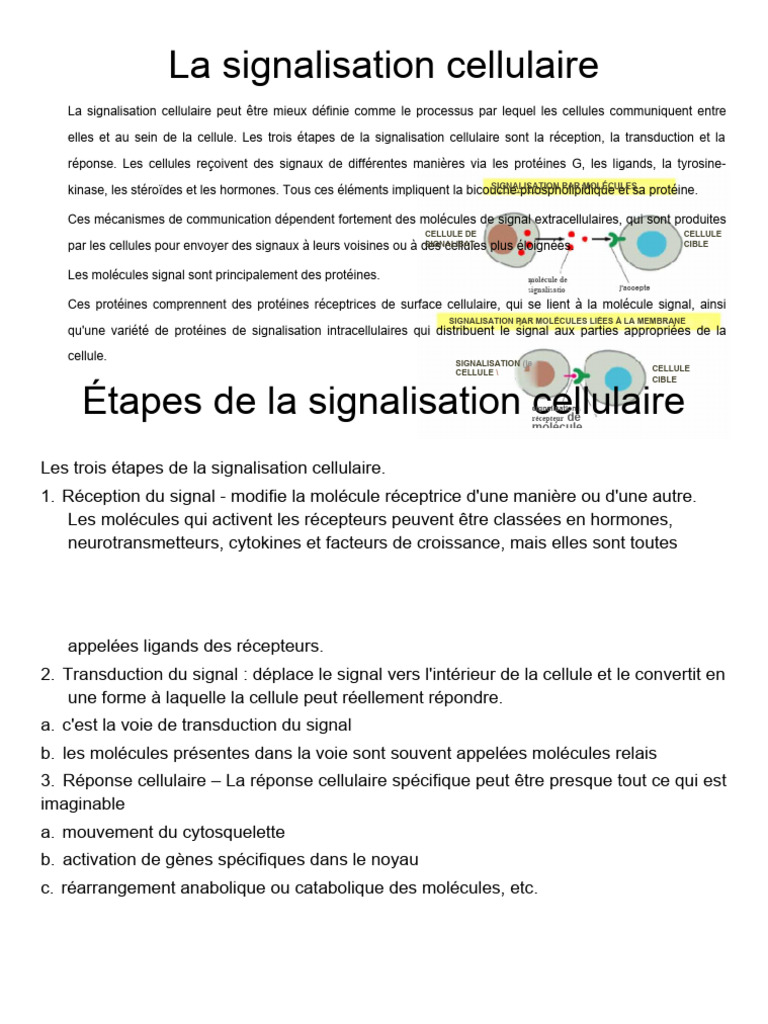 Comprendre la signalisation cellulaire | PDF | Signalisation cellulaire ...