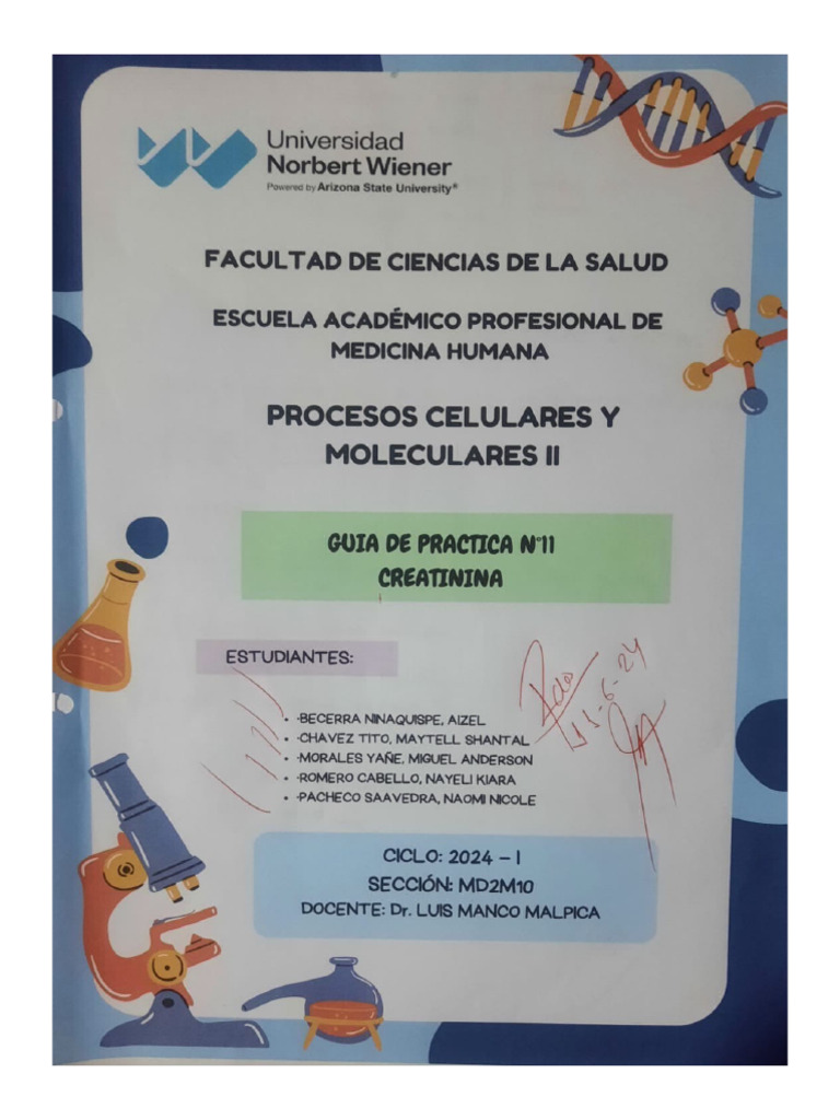 Procesos Celulares y Moleculares Ii PC - Practica N°11 | PDF