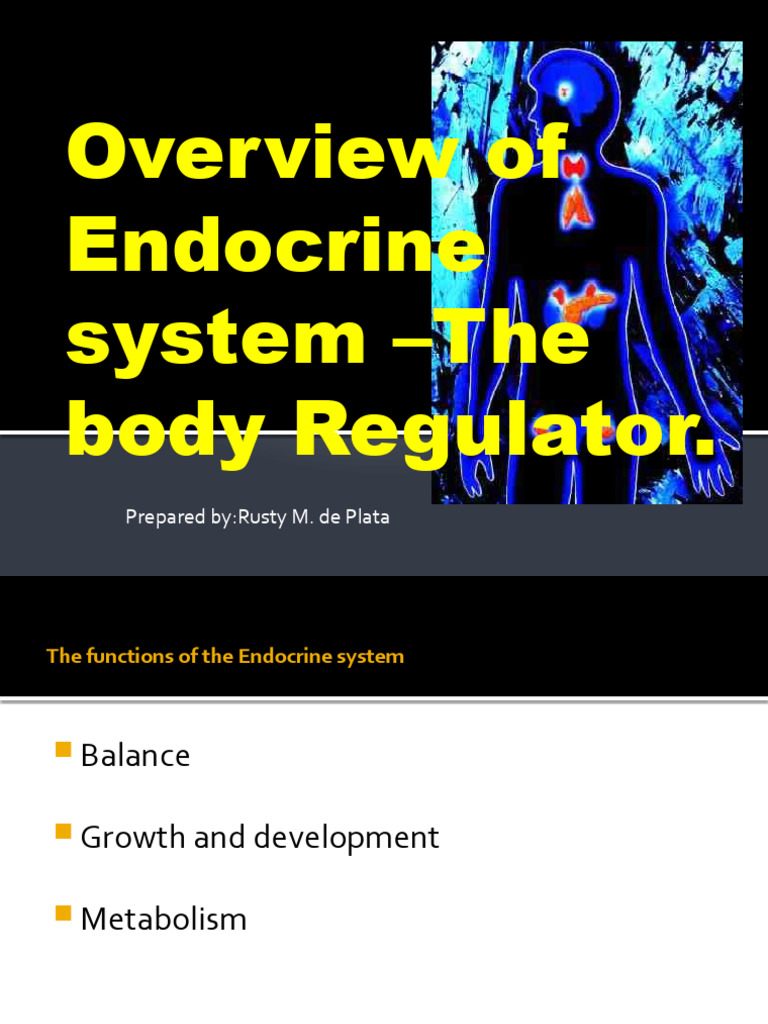 Overview of Endocrine System The Body Regulator Lesson Proper | PDF | Endocrine System | Hormone