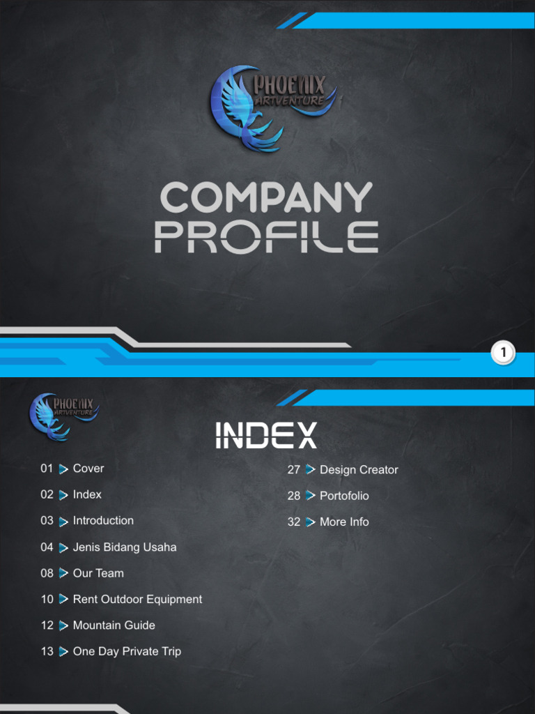 Phoenix Company Profile | PDF
