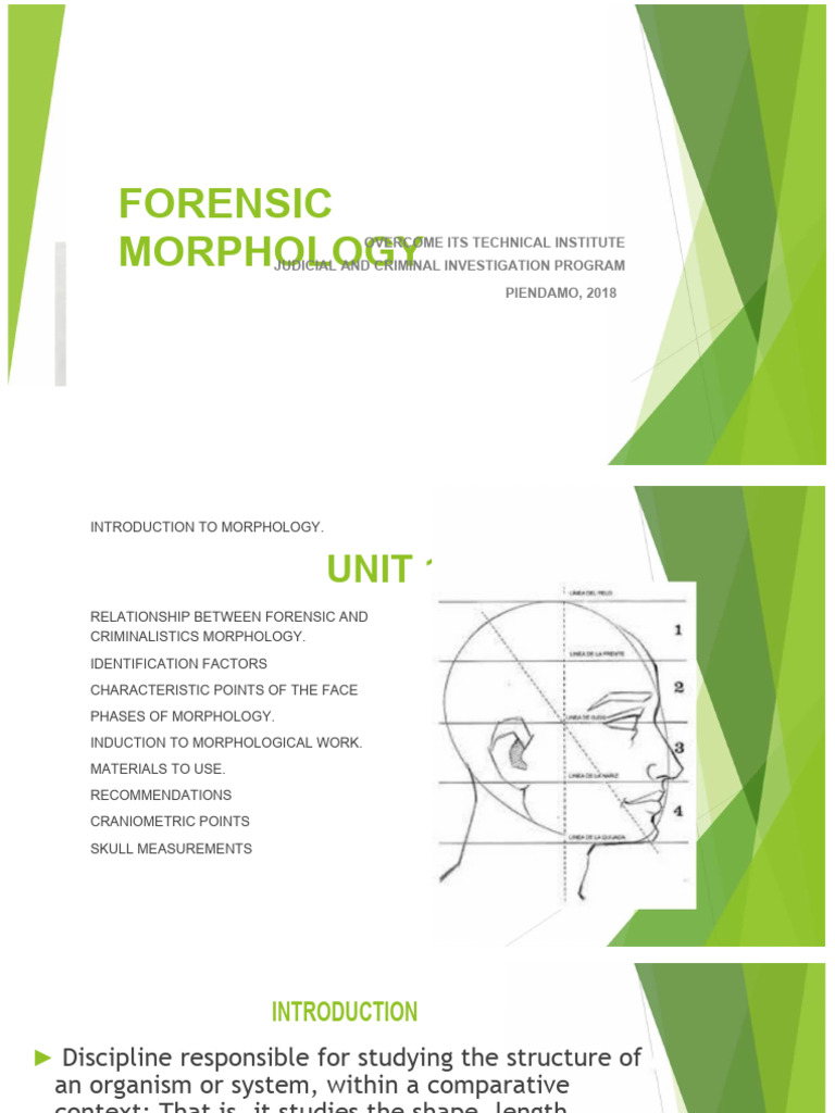 STI Forensic Morphology | PDF | Forensic Science | Face