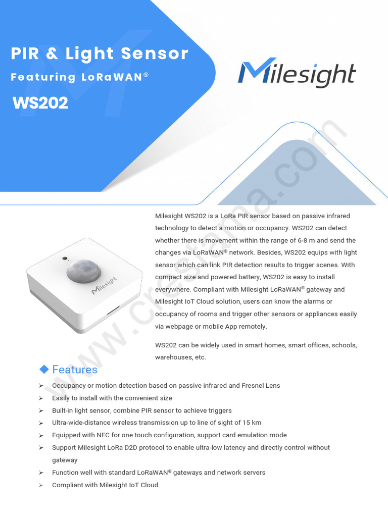 WS202 Datasheet | PDF | Computer Engineering | Computing