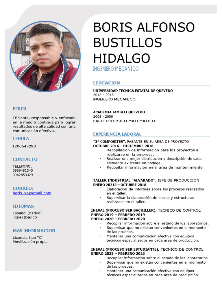 Boris Bustillos CV | PDF | Ingeniería mecánica | Ingeniería