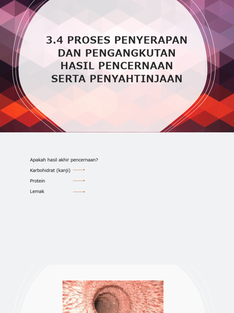 Proses Penyerapan dan Pengangkutan Nutrisi | PDF