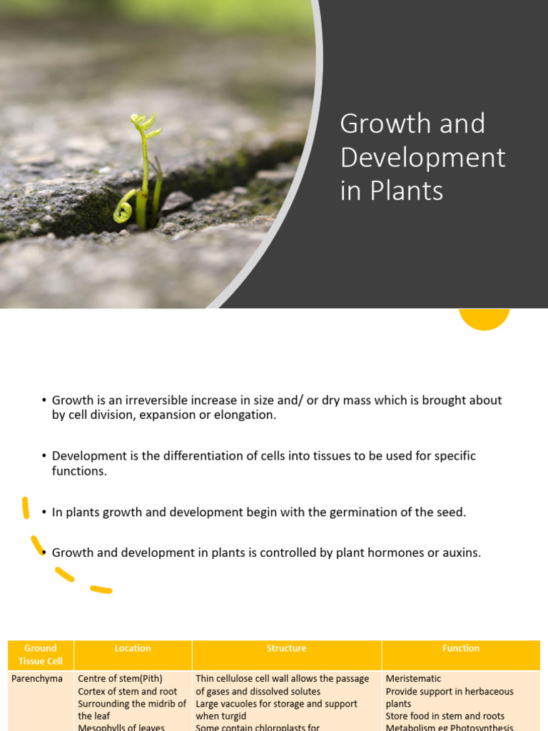Growth and Development in Plants | PDF | Plant Stem | Seed