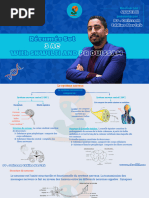 Sigma-Wataik 3ac SVT Guide Biof Guide-Prof | PDF | Tractus gastro ...