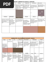 STAR Skin Tear Tool 04022010 | PDF | Skin | Wound