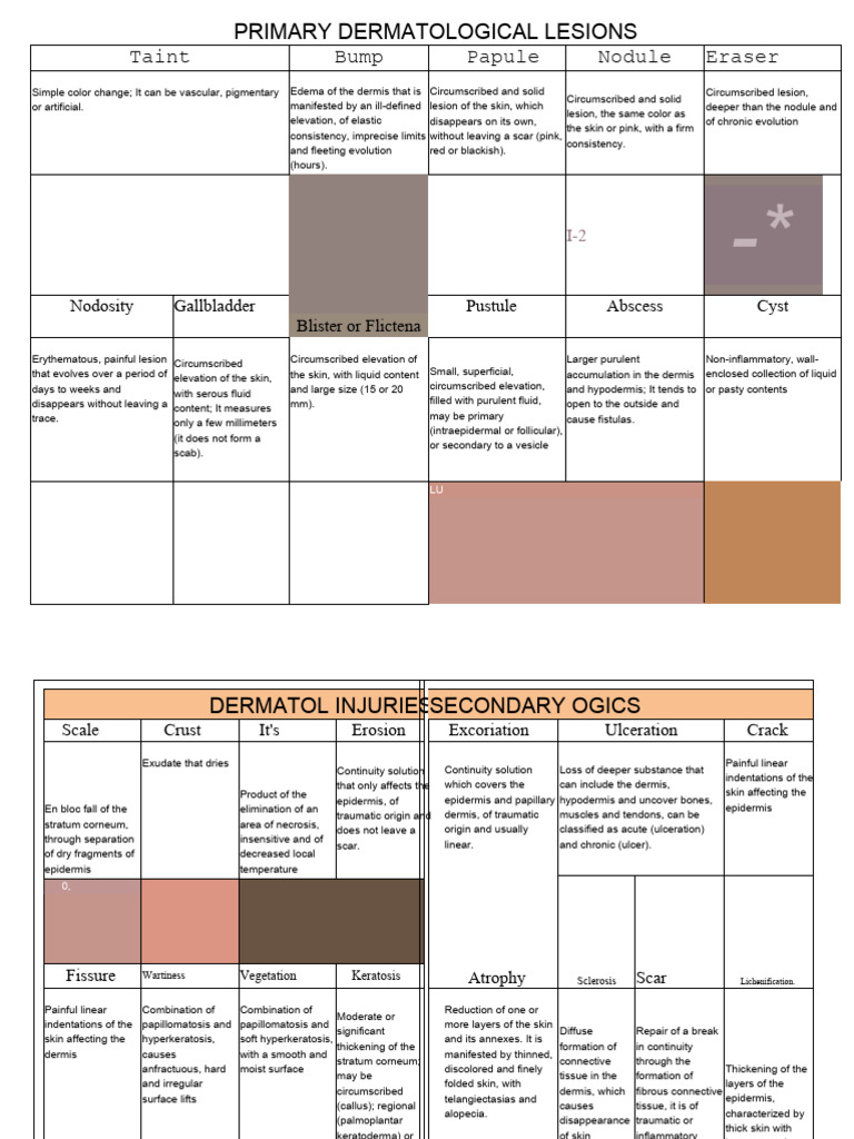 PRIMARY DERMATOLOGICAL LESIONS Correct | Download Free PDF | Skin ...