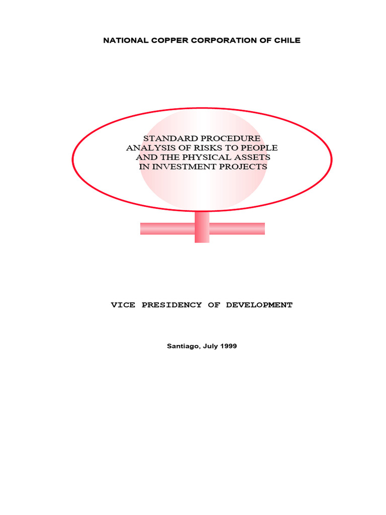 NCC-24 Risk Analysis Procedure | PDF | Risk Management | Risk