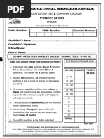Ple Primary Leaving Examination Mathematics 2024 | PDF