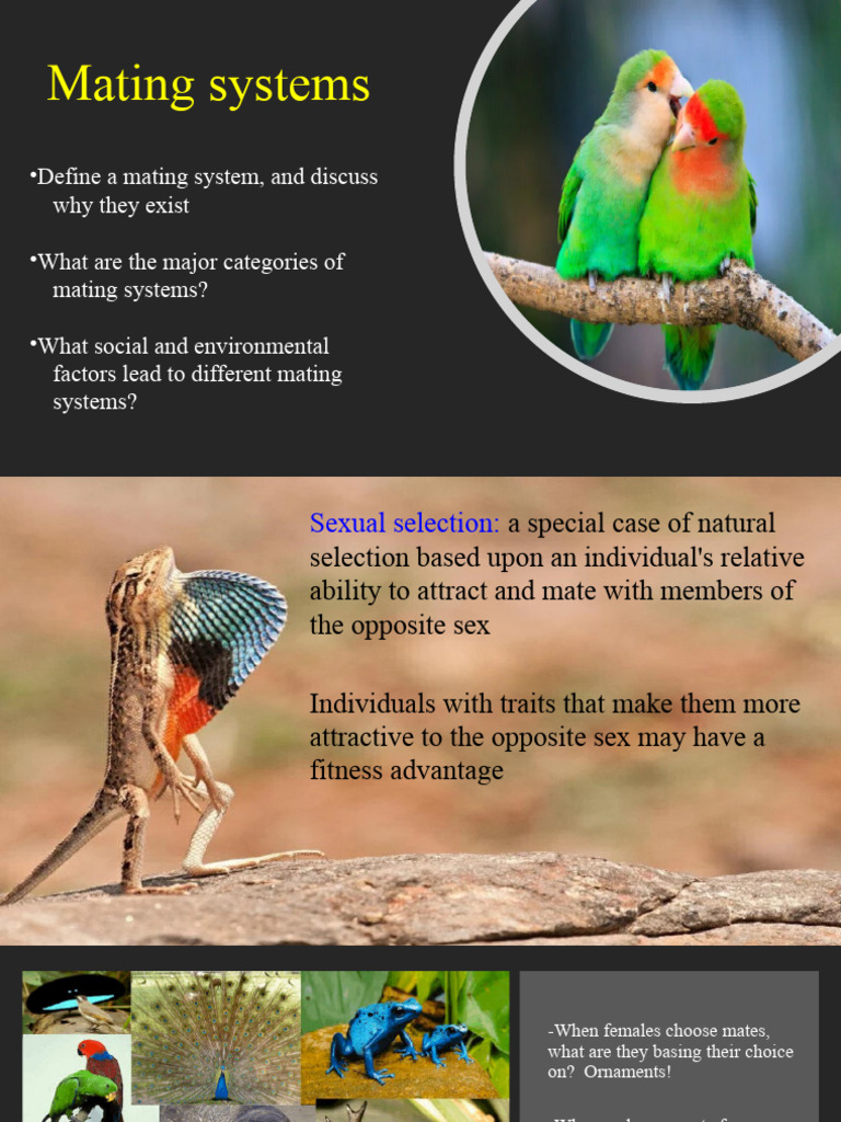Understanding Mating Systems and Selection | PDF | Monogamy | Mating