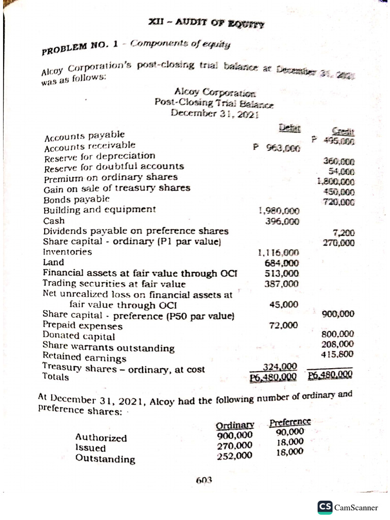 Equity Auditing Problems By Ocampo 2021 Pdf
