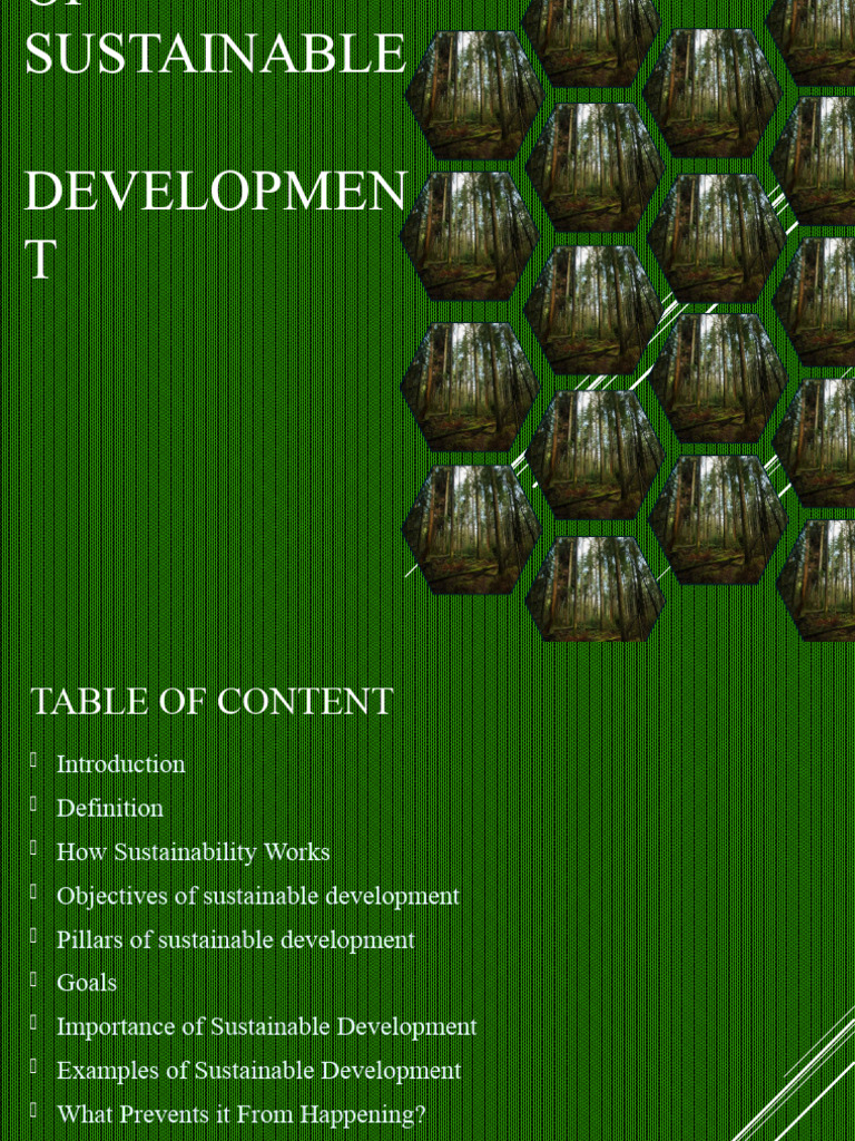 Sustainable Development | PDF | Sustainability | Sustainable Development
