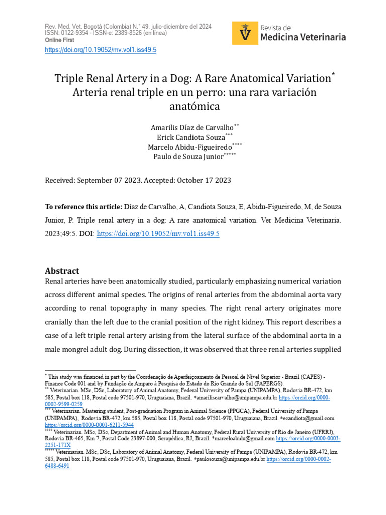 Triple Renal Artery in A Dog - A Rare Anatomical Variation | PDF ...