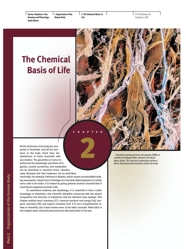 02 The Chemical Basis of Life | PDF | Ion | Chemical Bond