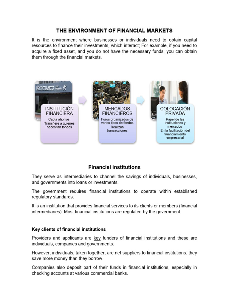 Financial Market Environment | PDF | Income Tax | Dividend