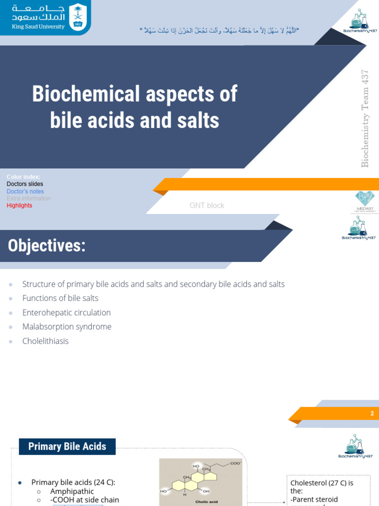 Bile Acids and Salts: Biochemical Overview | PDF | Bile | Digestion