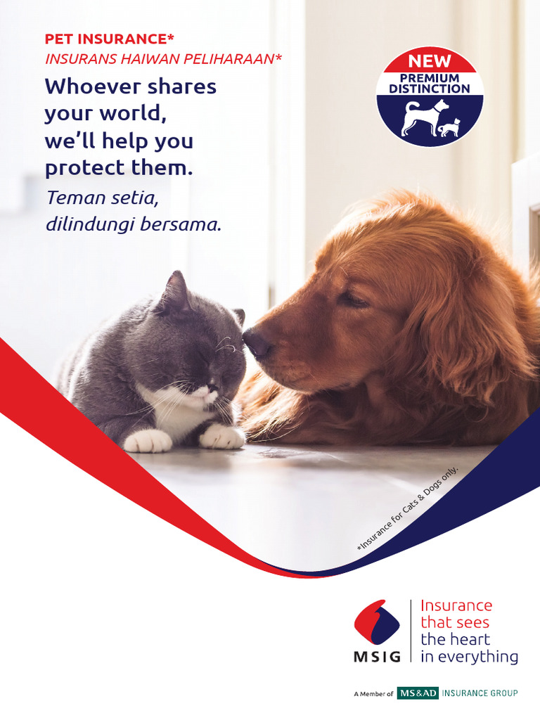 MSIG Pet Insurance Brochure With PDS | PDF | Insurance | Liability ...