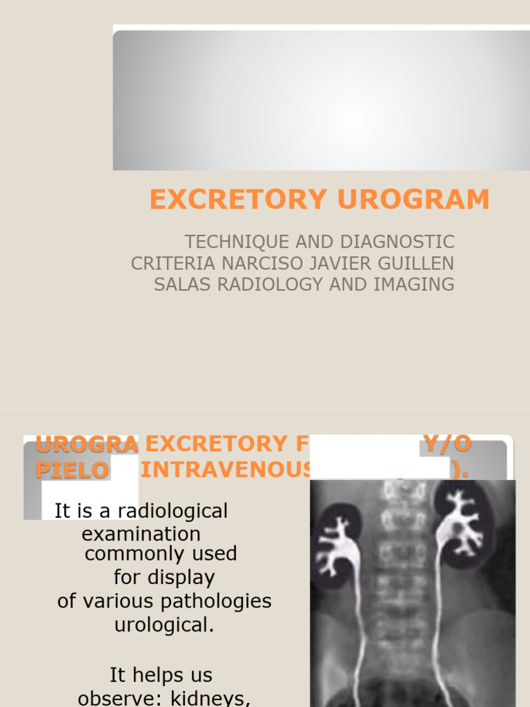 Excretory Urography. | Download Free PDF | Kidney | Urinary System