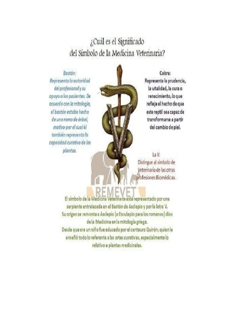 Meaning of The Veterinary Medicine Symbol | PDF | Wellness