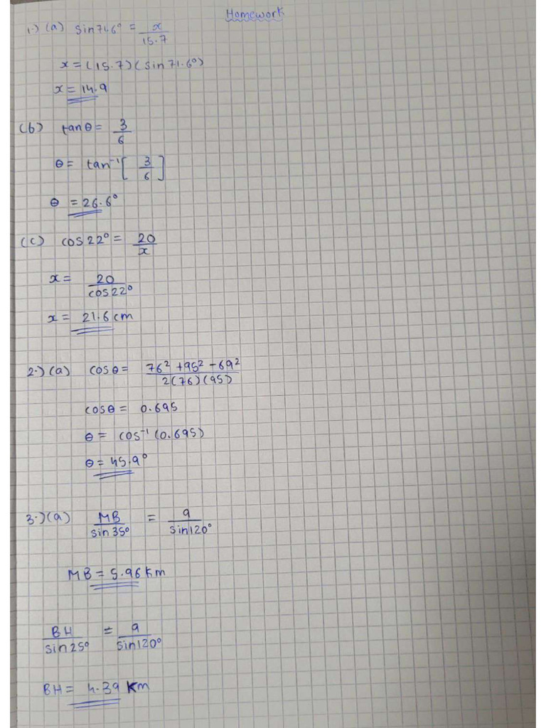 REVISION - Triangles HOMEWORK | PDF