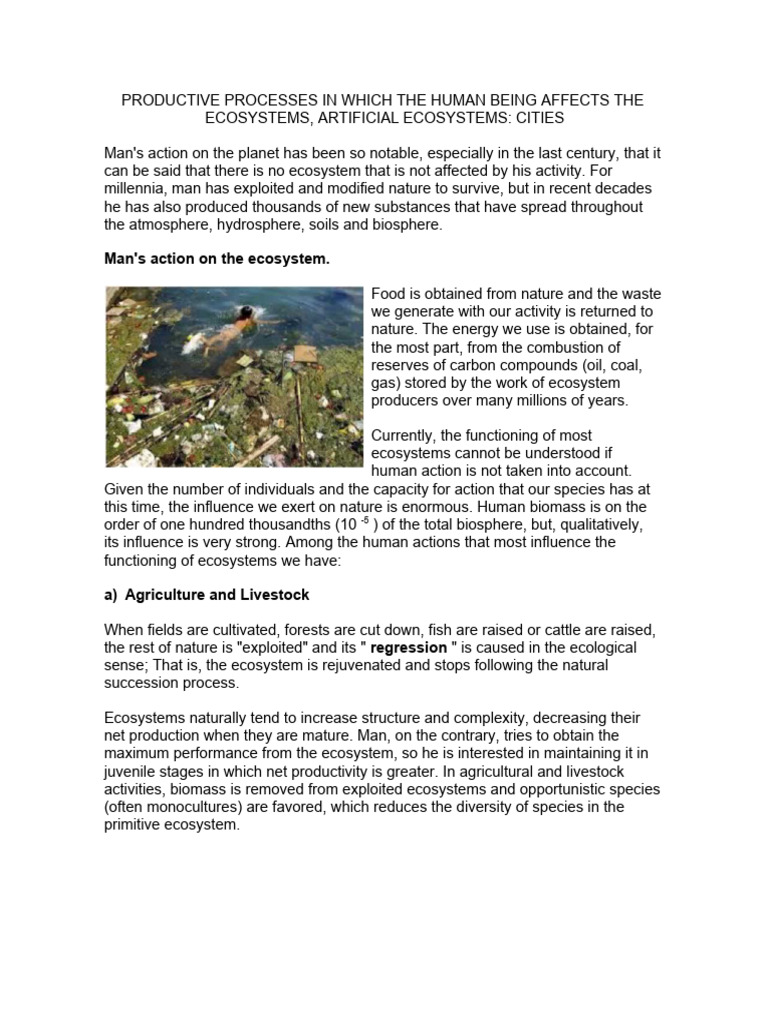 Productive Processes in Which Human Beings Affect Ecosystems | PDF ...