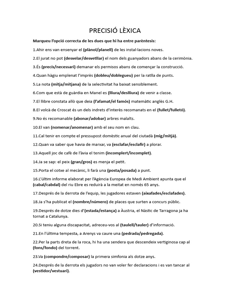 Precisió Lèxica | PDF