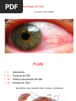 Anatomie Du Corps Genicule Lateral 2022 | PDF | Système visuel | Vision