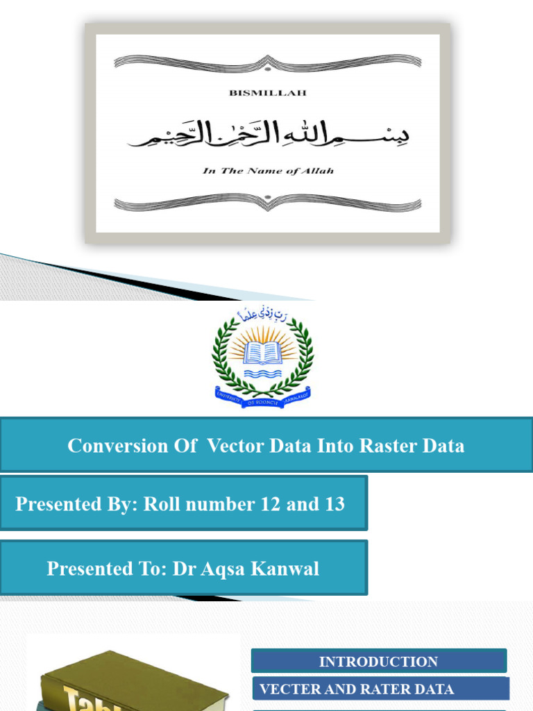 Conversion of Vector Data in To A Raster Data | PDF | Geographic ...