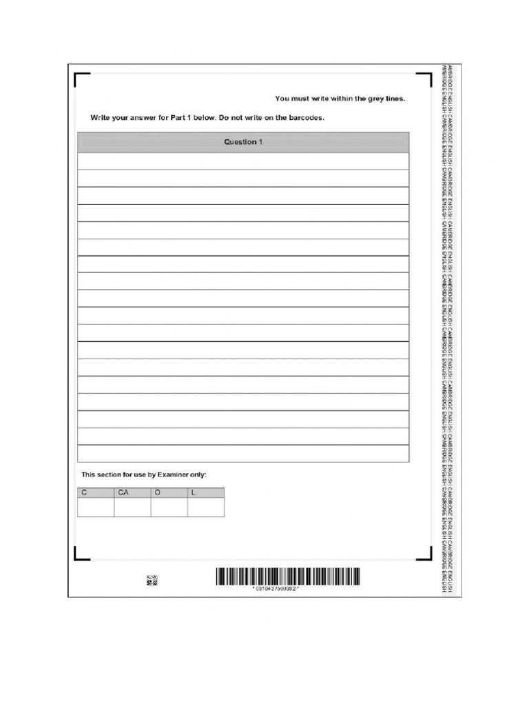Pet Writing Answer Sheet | PDF