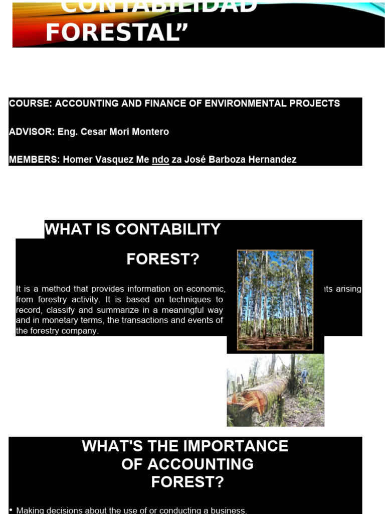 Forest Accounting | PDF | Forestry | Money
