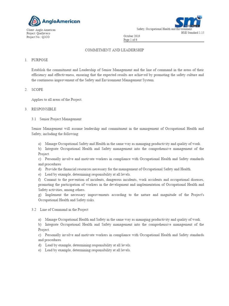 Leadership and Commitment To Occupational Health and Safety at Proyecto Quellaveco | PDF ...