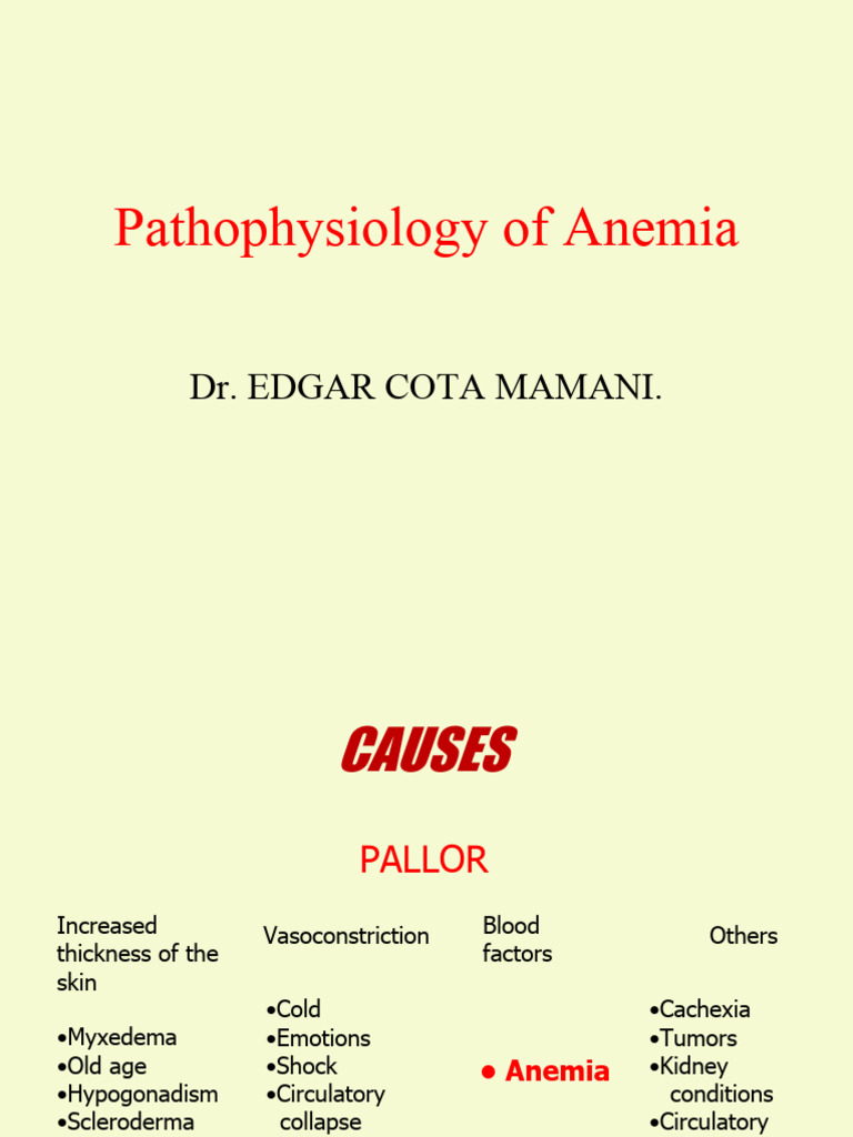 Anemia Pathophysiology 1 | PDF | Anemia | Medical Specialties