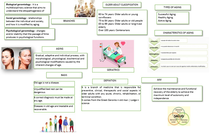 Mind Map Class 1 Geriatrics Franco Enríquez David | PDF | Geriatrics ...