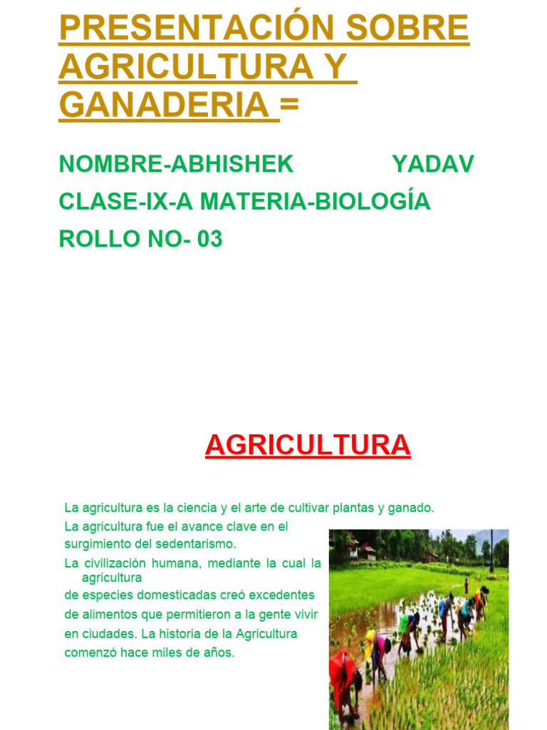 Presentación Sobre Agricultura y Ganadería | PDF | Agricultura | Apicultura