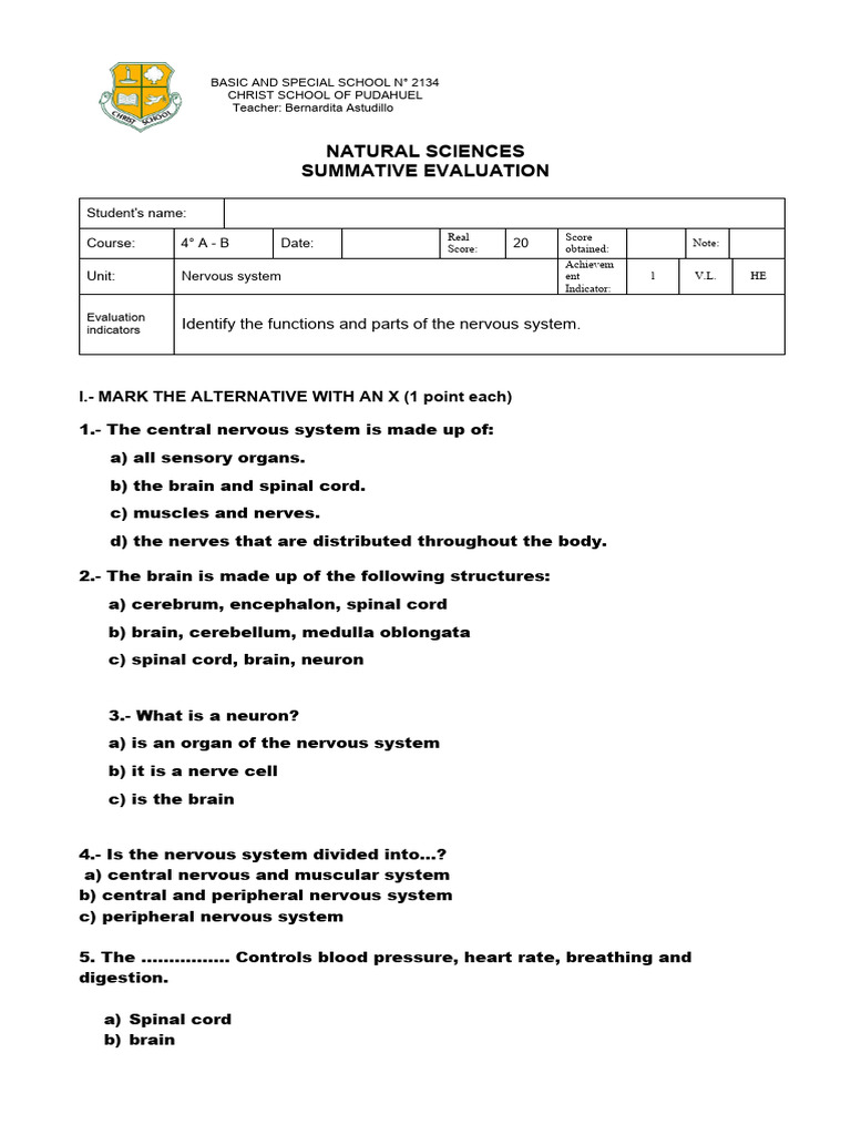 Nervous System Evaluation for Students | PDF | Central Nervous System ...