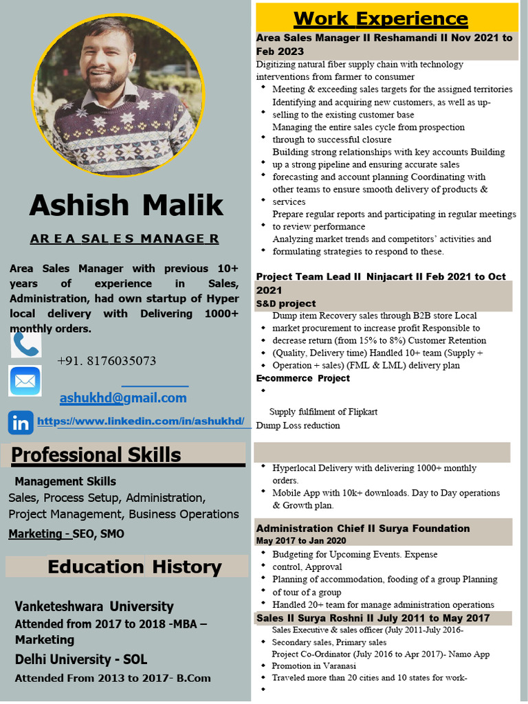 Ashish Malik - CV | PDF | Sales | Marketing