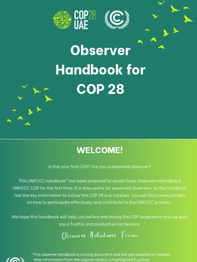 Observer Handbook For COP 28 | PDF | United Nations Framework ...