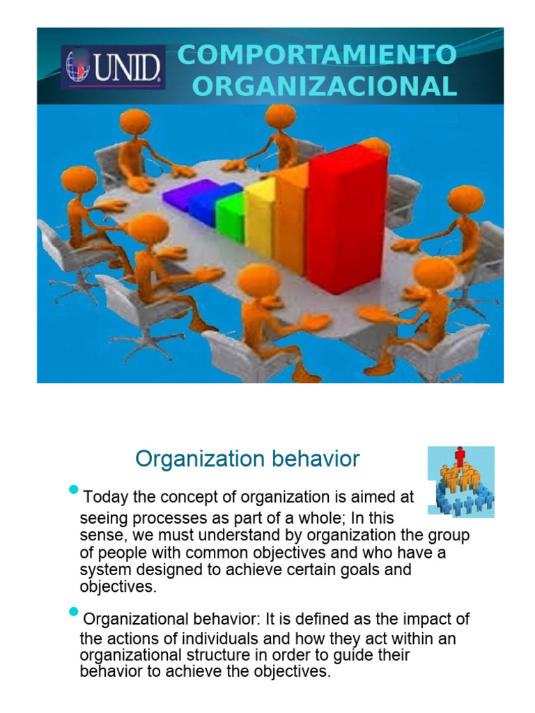 Elements of Organizational Behavior | PDF | Experience | Leadership