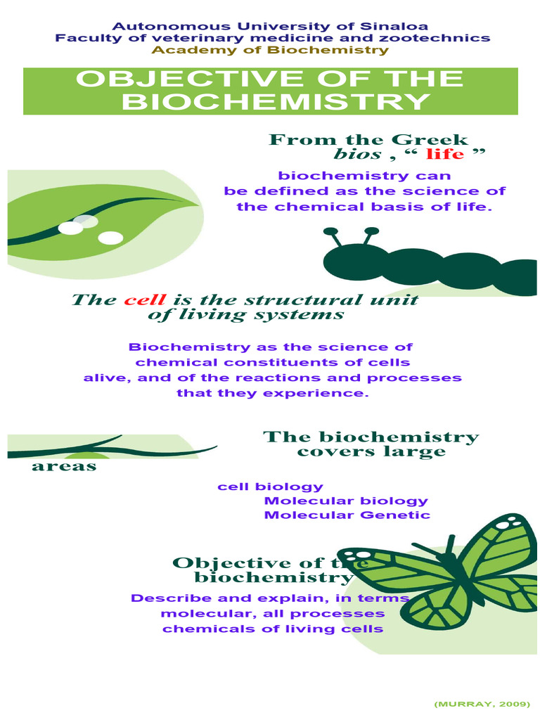 Biochemistry and Medicine Infographic | PDF | Biochemistry | Chemistry