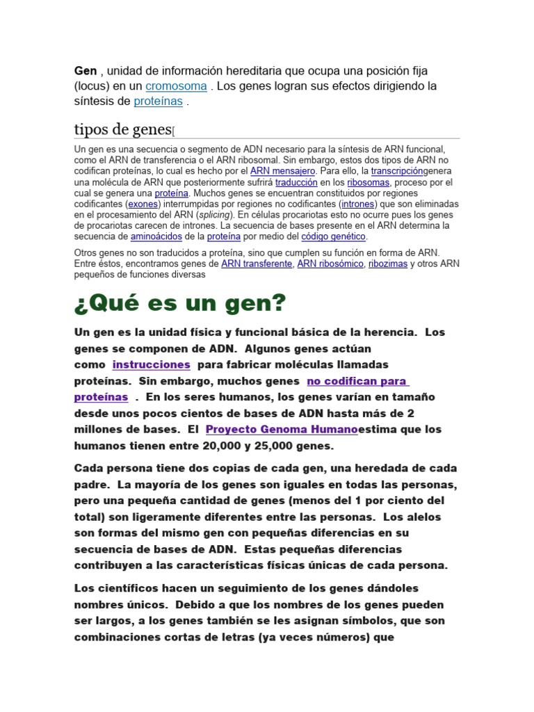 ¿Qué Es Un Gen?: Tipos de Genes | PDF | Gene | Rna