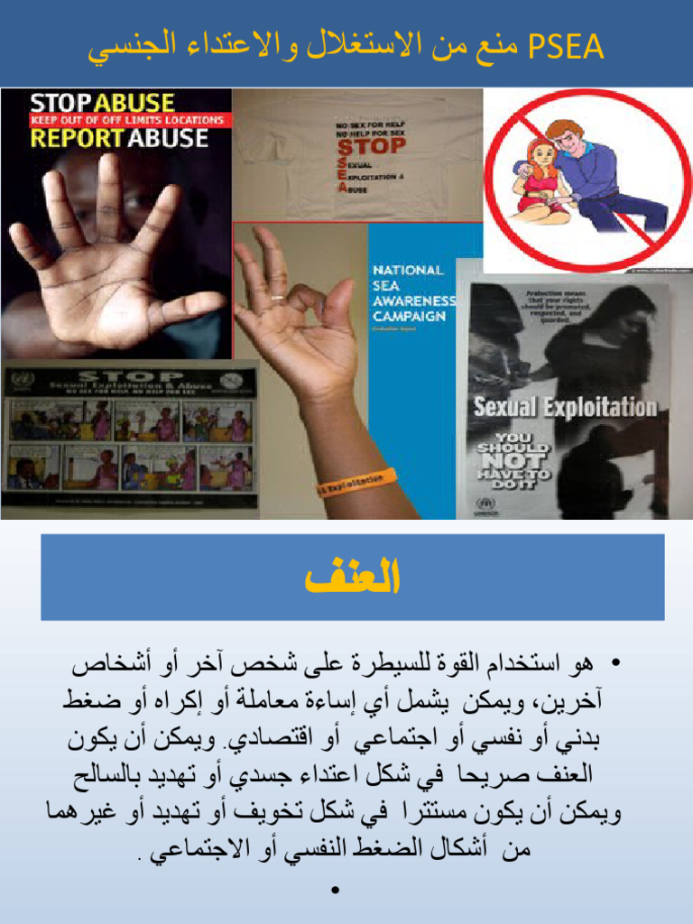 3 ARA - Content of Information | PDF