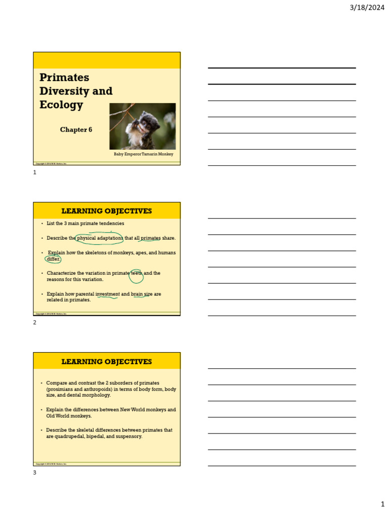 CH 06 - Primates Diversity and Ecology - Note Taking File | Download ...